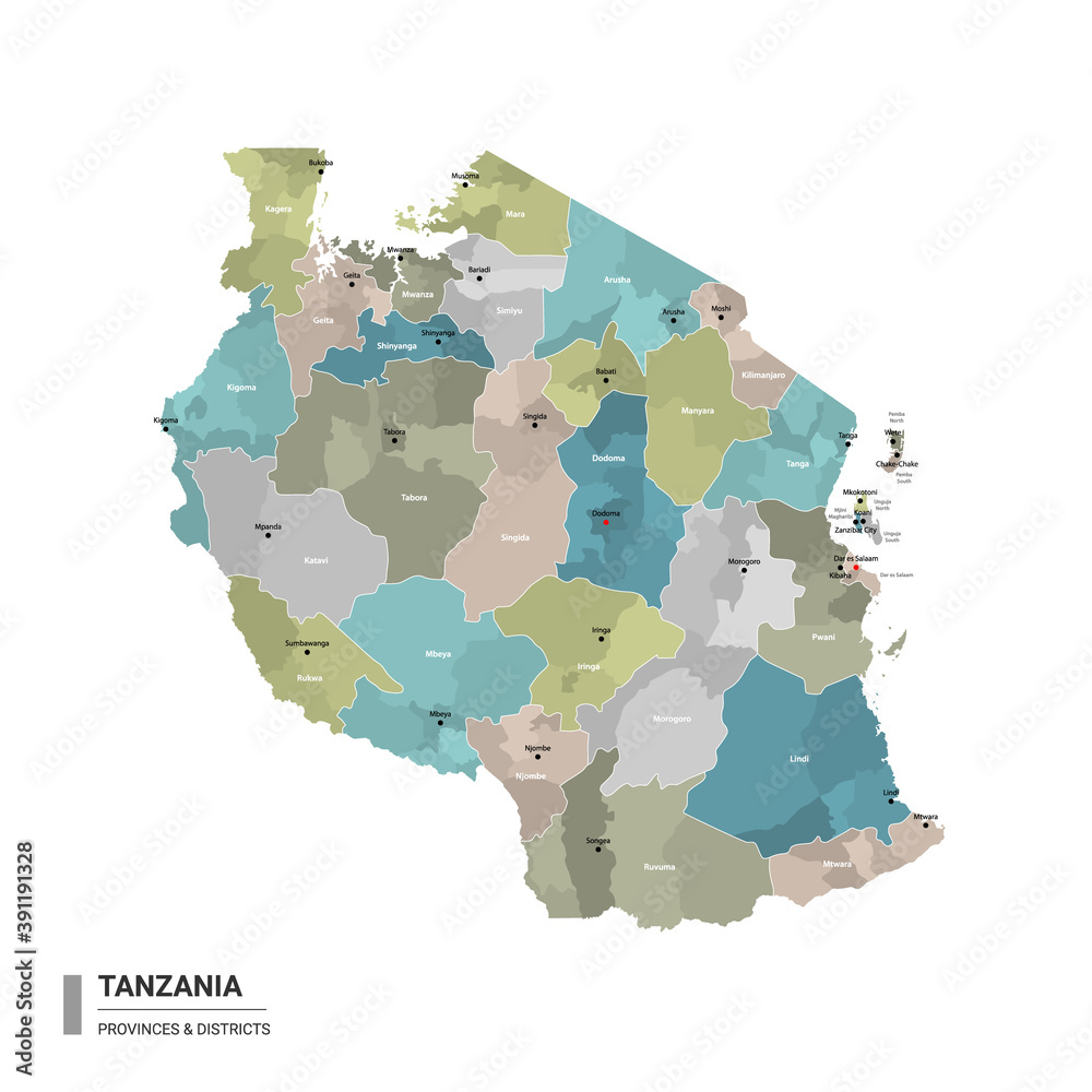 Tanzania higt detailed map with subdivisions. Administrative map of ...