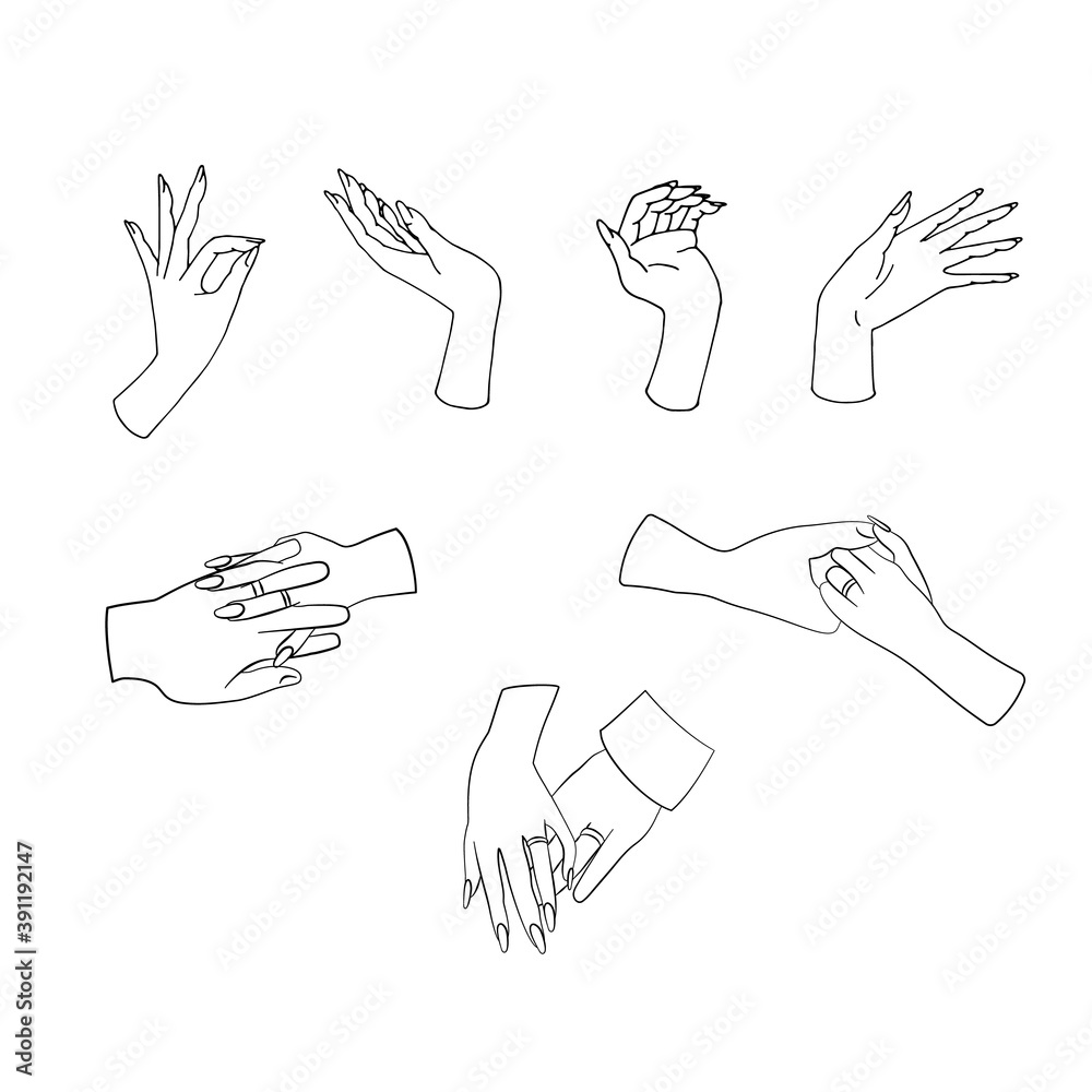 Vector de Stock Elegant hand drawn line art hands gestures clipart set ...