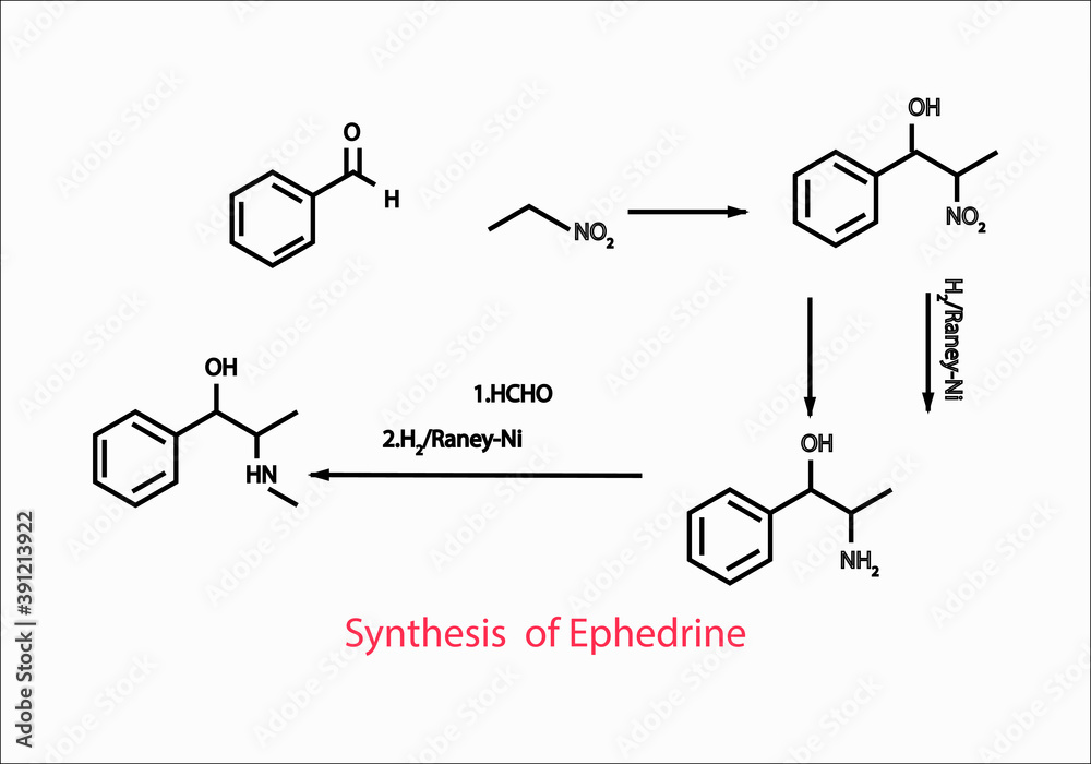 Synthesis of ephedrine chemical reaction structure vector design ...
