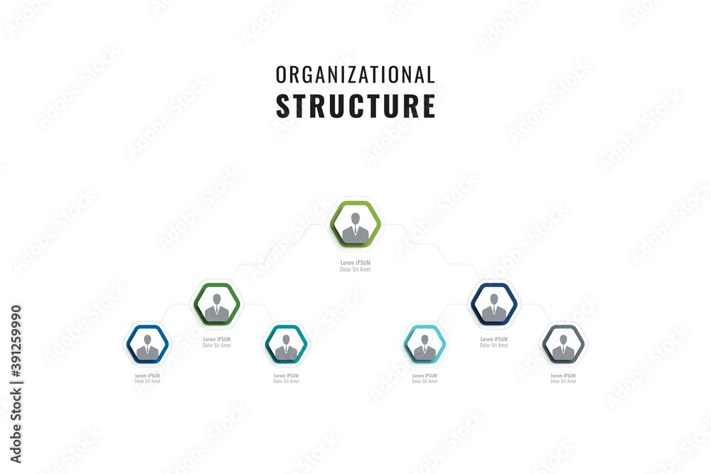 Vertical organizational structure of the company template. Multicolor ...
