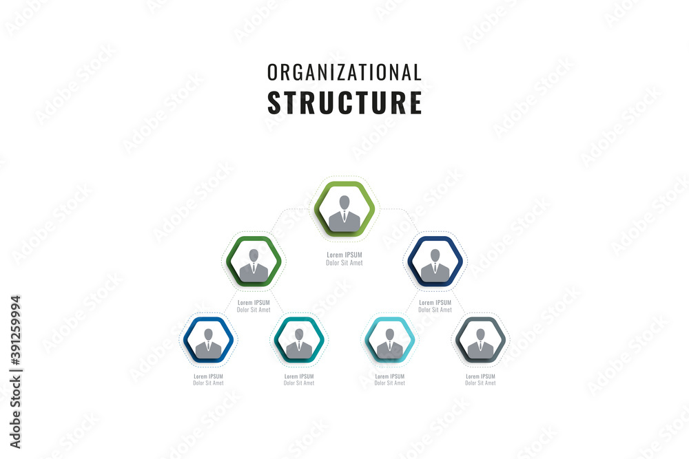 Image vectorielle Stock Vertical organizational structure of the ...
