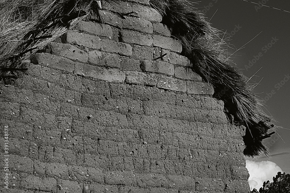 Muro de ladrillos, blanco y negro Stock Photo | Adobe Stock