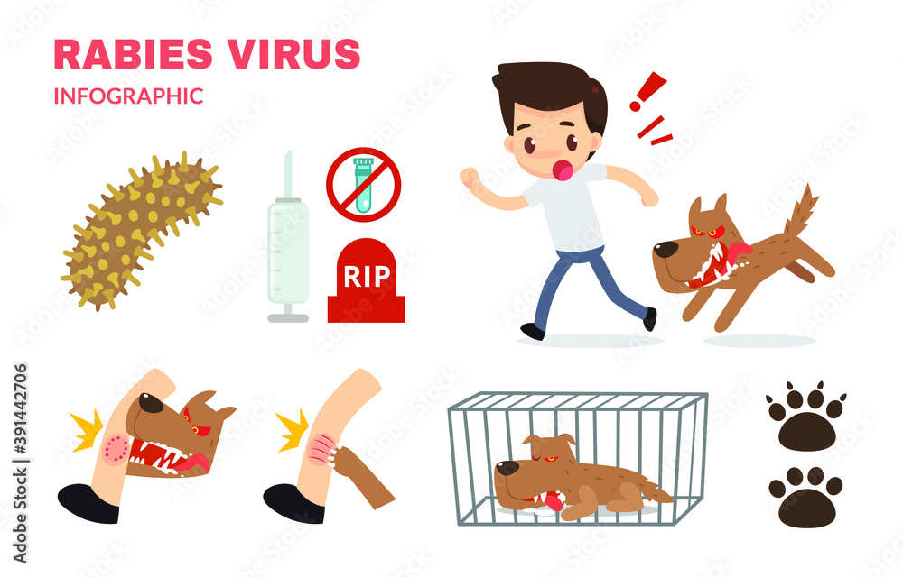 Rabies cartoon infographic. Hydrophobia. Infographic Vector ...