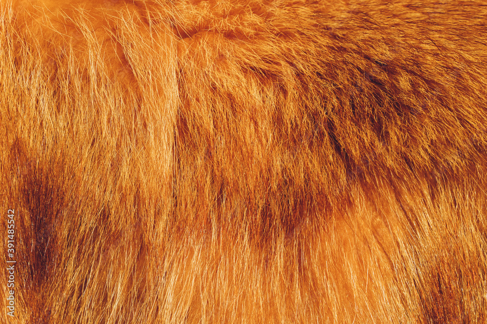 Textures red fox fur. Red fox shaggy fur texture cloth abstract, furry ...