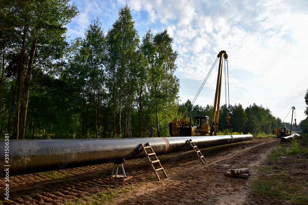 Natural gas pipeline construction work in forest area. Installation of ...