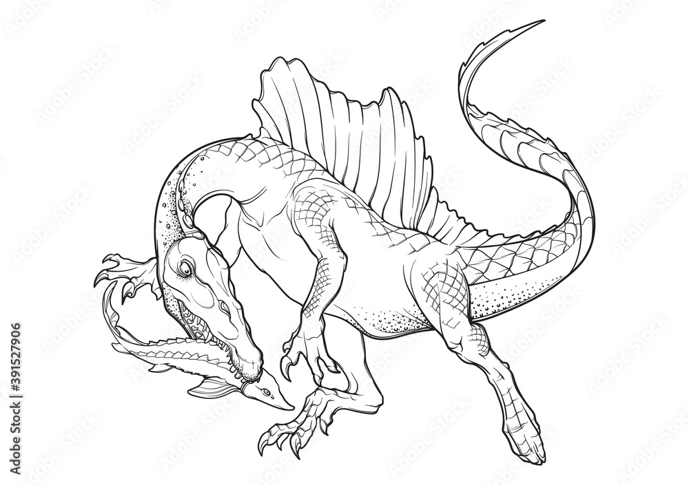 Spinosaurus hunting on fish. Black linear hand drawing isolated on a ...