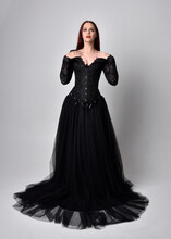 Gothic Victorian Mannequin Gown Free Stock Photo - Public Domain Pictures