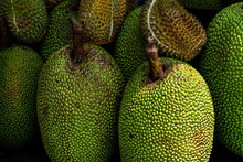 Durian Fruit Free Stock Photo - Public Domain Pictures