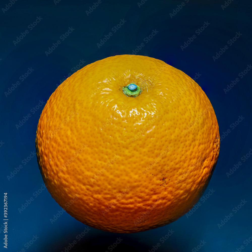 Appearance of hassaku orange fruit (Citrus hassaku) produced in Japan ...