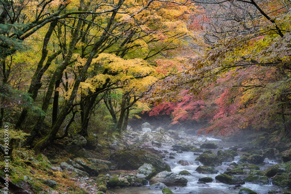 A river flows through the valley. Autumn landscape. Shot in Odamiyama ...