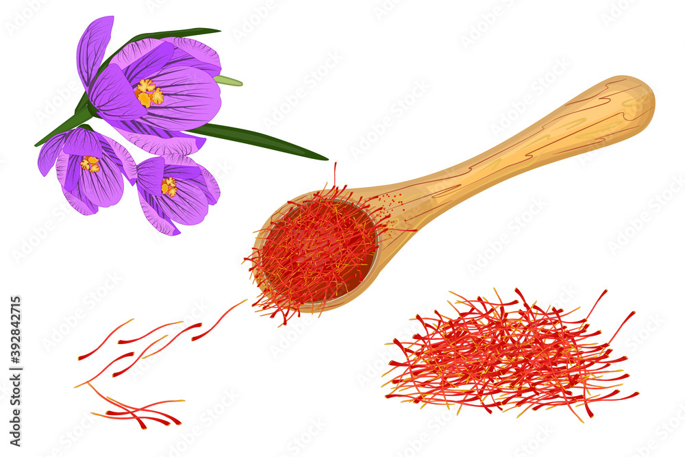 Saffron set isolated on white background. Dried spice saffron threads ...