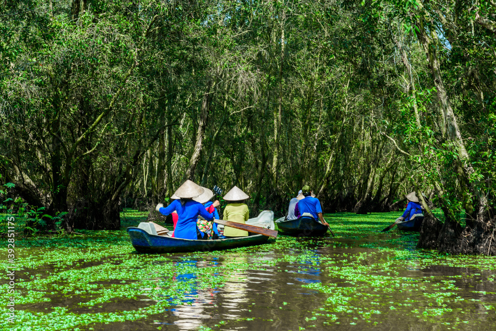 Sailing boat in Tra Su flooded indigo forest trees, a preserved forest ...