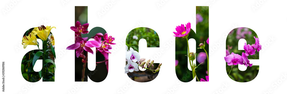 Floral letters. The letters A, B, C, D, E are made from colorful flower ...