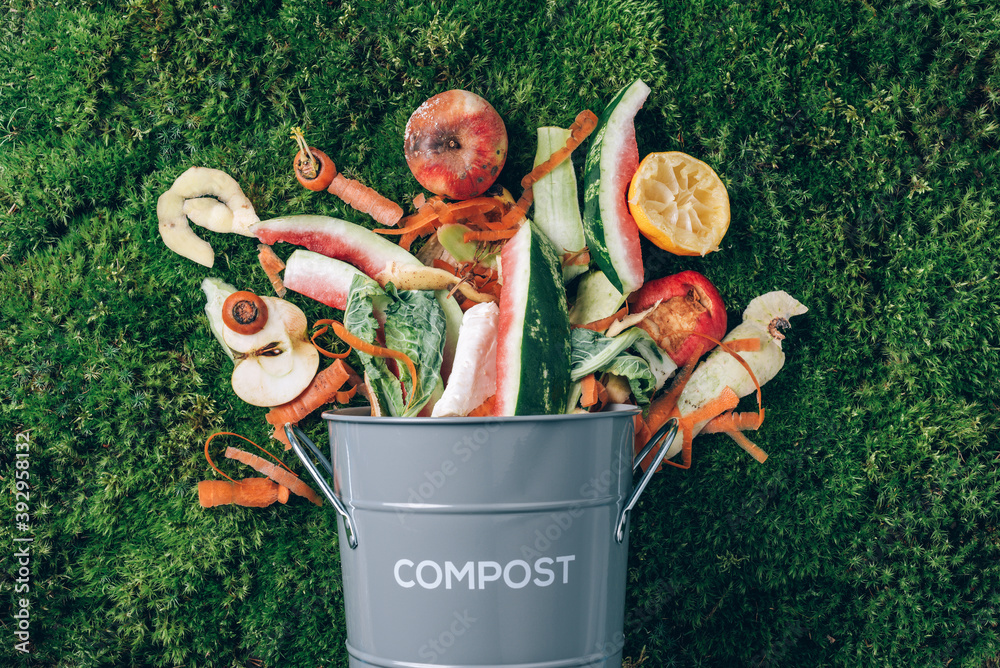 Recycle kitchen waste. Sustainable, zero waste living. Vegetable waste ...