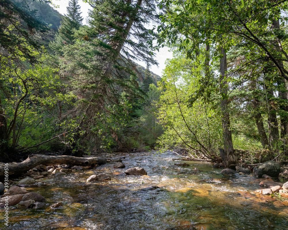 The Jarbidge River flows through the wildnerness near Upper Bluster ...