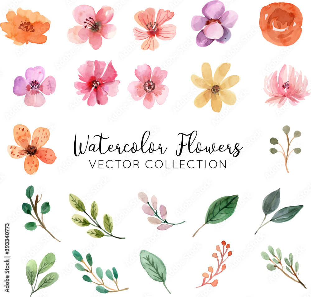 Watercolor Flowers Vector Collection Stock Vector | Adobe Stock