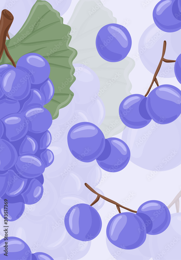 Wine grapes, table grapes vector hand drawn card design. Fresh berries ...