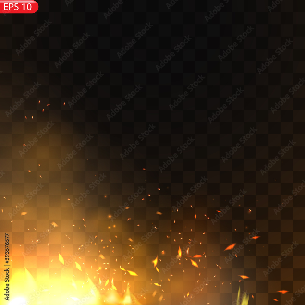 Realistic burning fire flames vector effect with transparency for ...