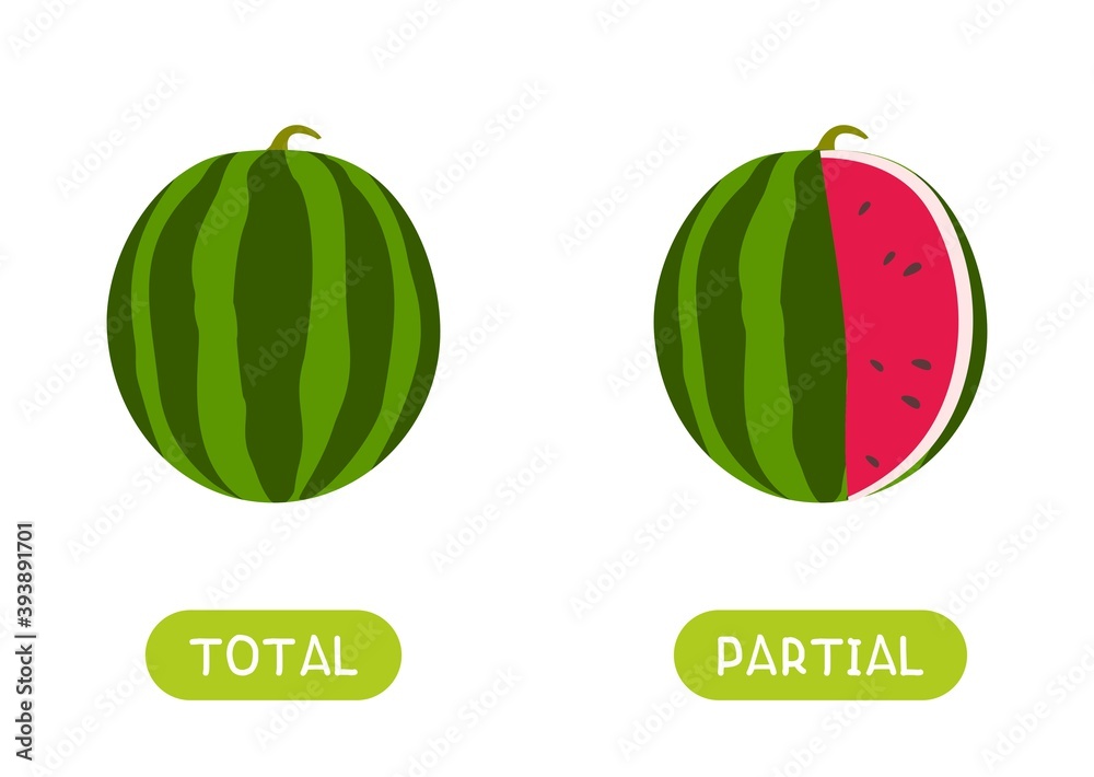 TOTAL and PARTIAL antonyms word card vector template. Flashcard for ...