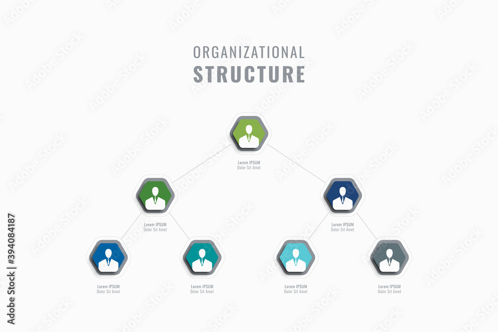 Vertical business hierarchy of the company template. Multicolor ...
