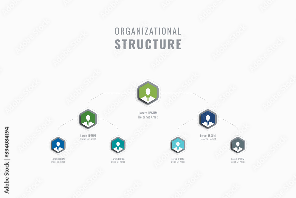Vertical business hierarchy of the company template. Multicolor ...