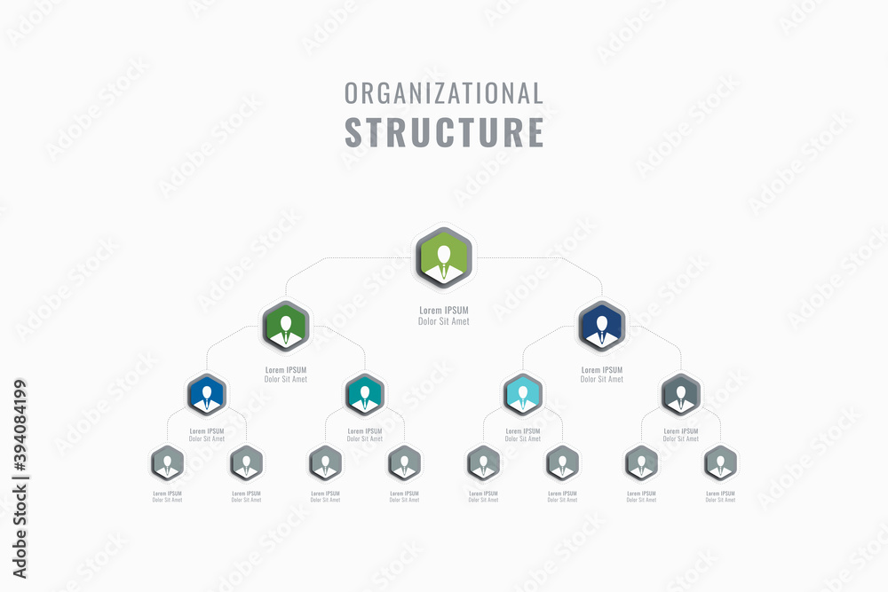 Vertical business hierarchy of the company template. Multicolor ...