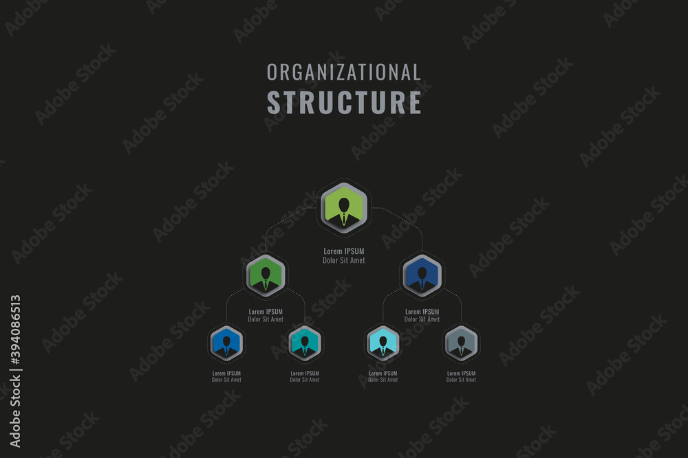 Vertical business hierarchy of the company template. Multicolor ...