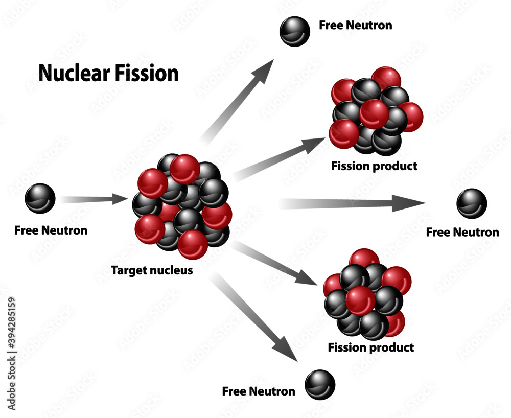 Nuclear energy diagram of nuclear fission reaction. Free neutron ...