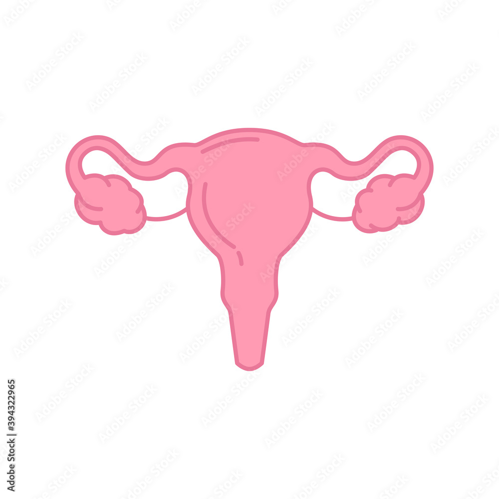 Vector de Stock Simple icon of female genital organs, internal human ...