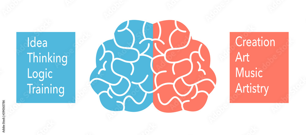 Left and right brain infographic for presentation concept vector ...