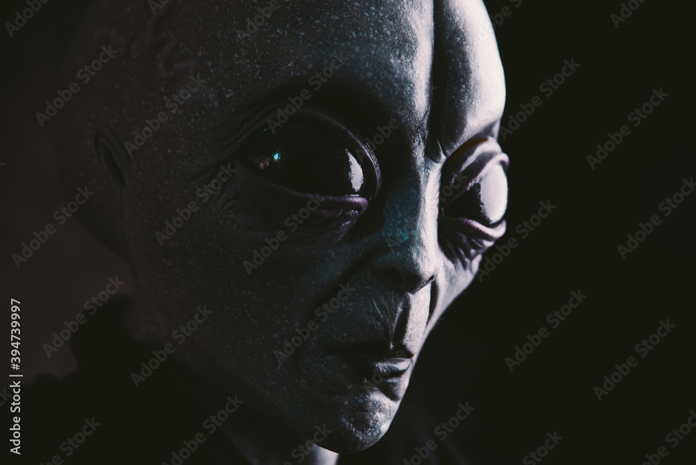 Alien creature has a message for humans. Grey kind humanoid from an ...