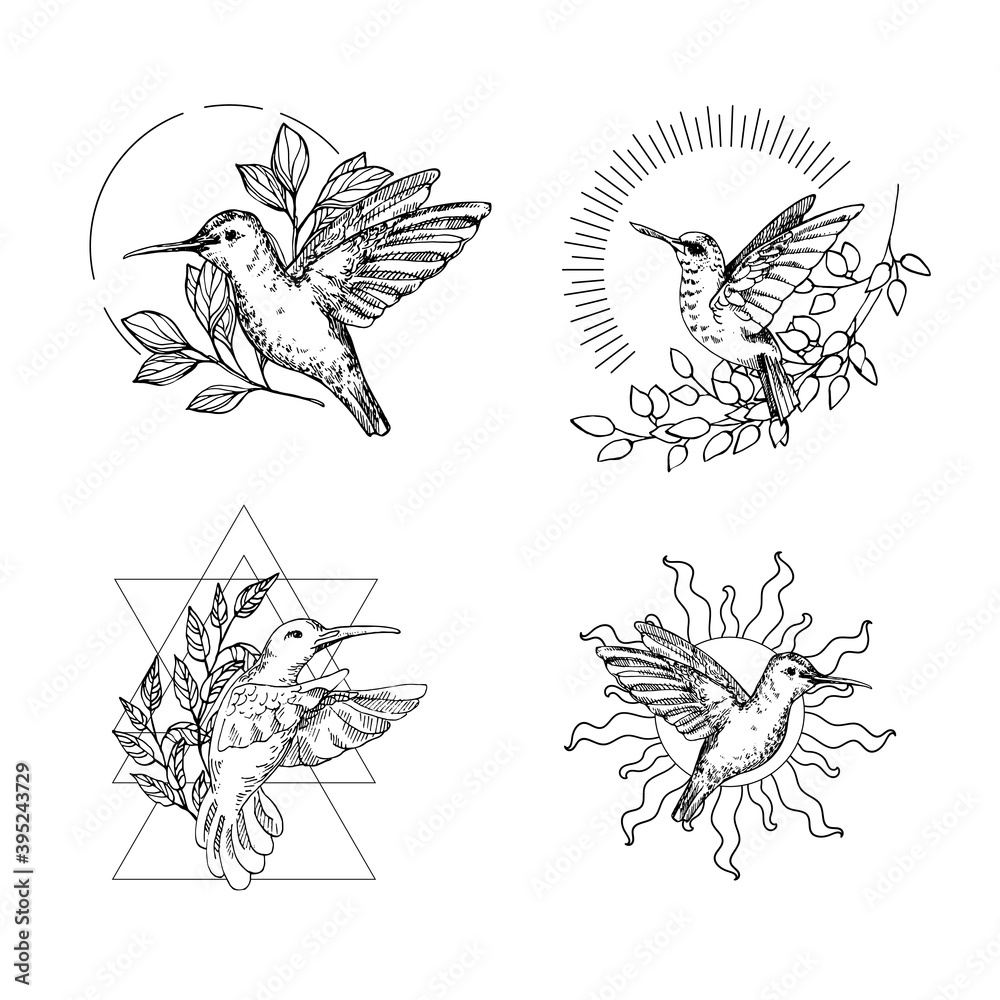 Hand drawn vector illustration of humming bird logo. Natural and ...