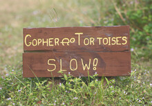 Gopher Tortoise Sign Free Stock Photo - Public Domain Pictures