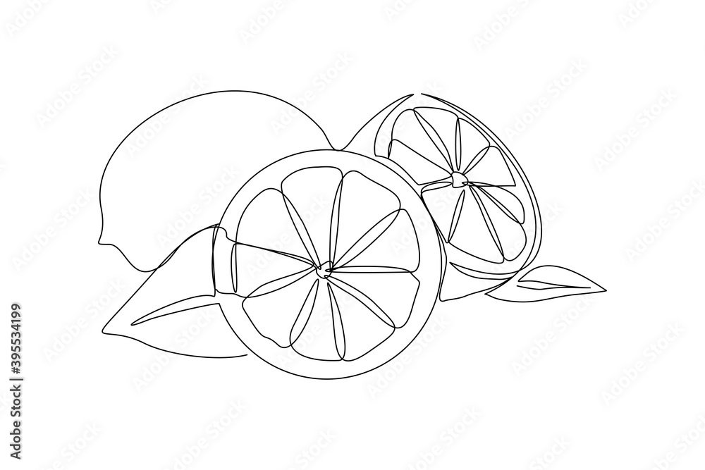 Continuous line drawing of juicy lemon orange. One line art concept of ...
