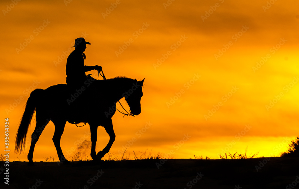 horse and rider cowboy silhouette at sunset western rider in western ...