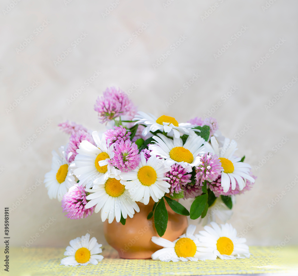 Clover and chamomile bouquet in a vase on a light background . Summer ...
