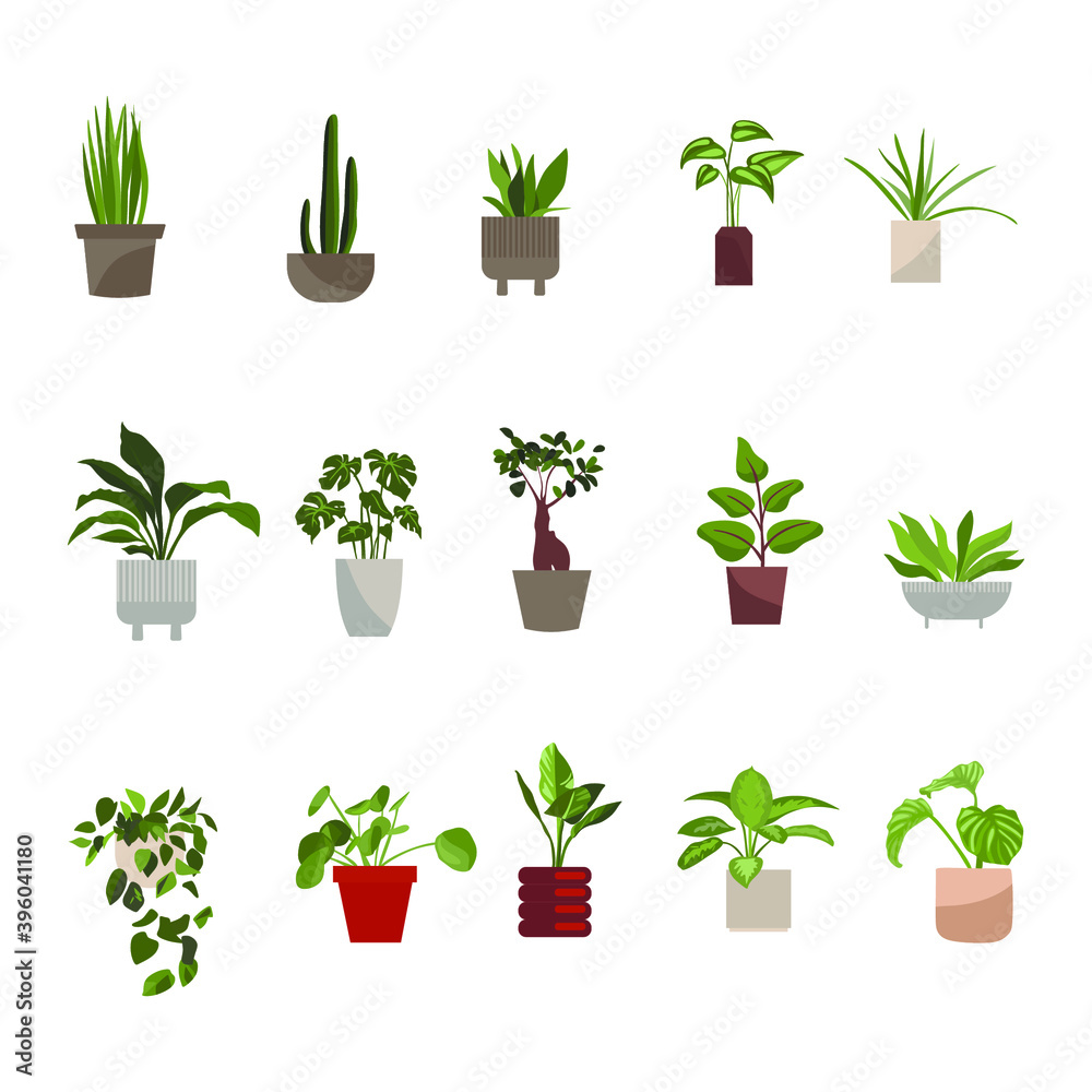 Indoor plants clipart-large Botanical clipart-interior clipart ...