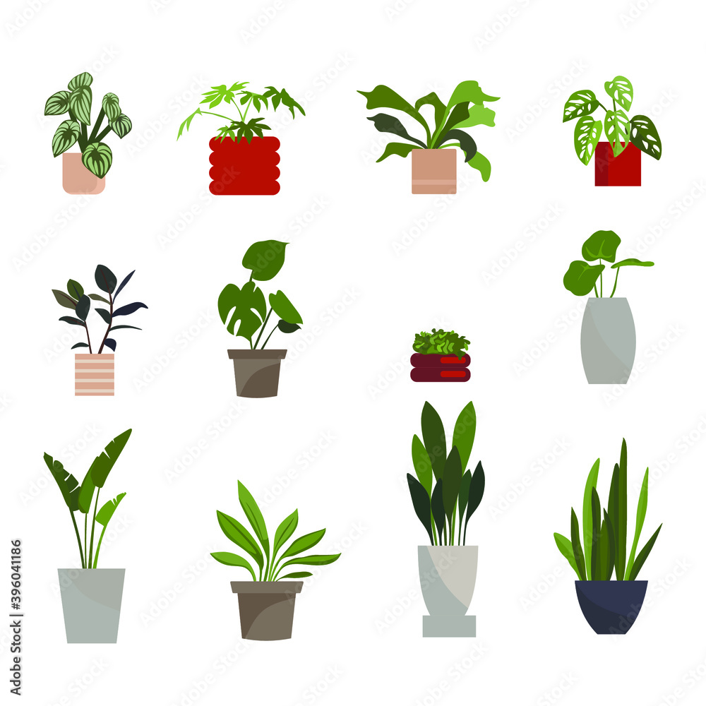 Indoor plants clipart-large Botanical clipart-interior clipart ...