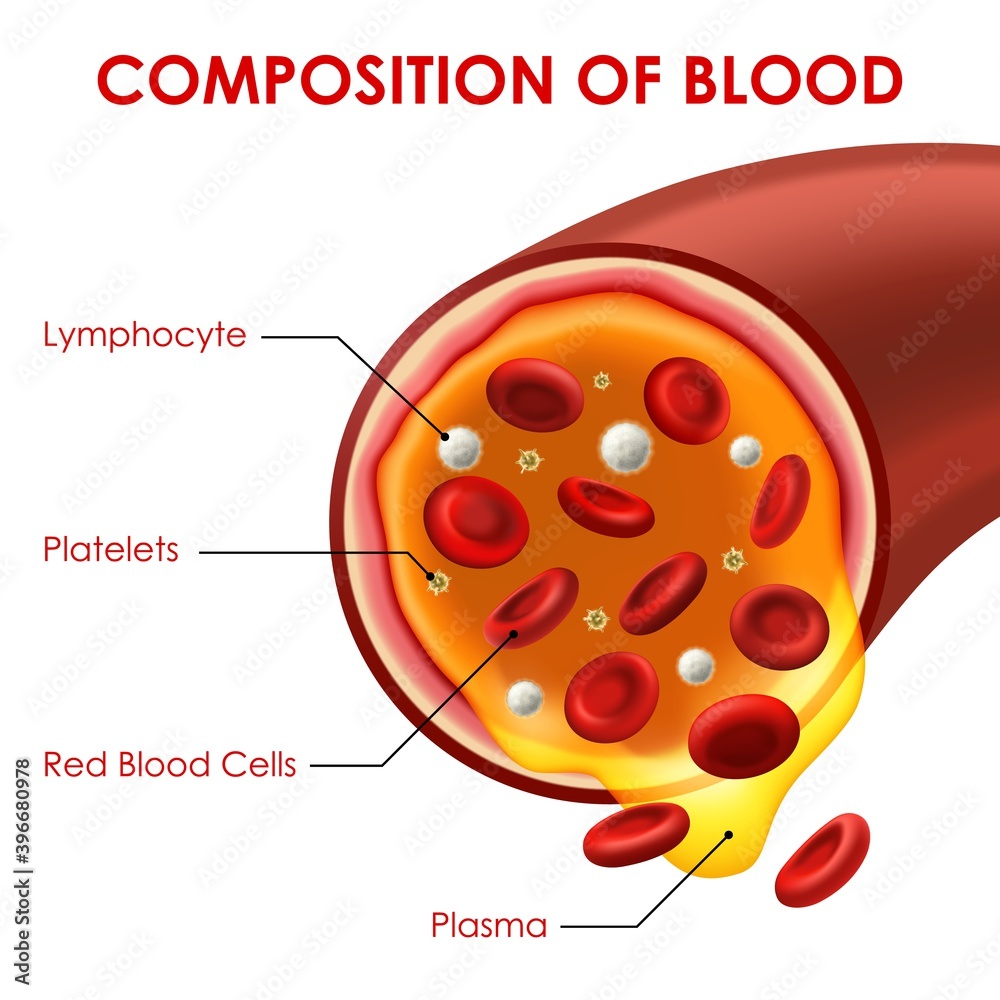 Composition of blood vector medicine scheme with vessel cross section ...