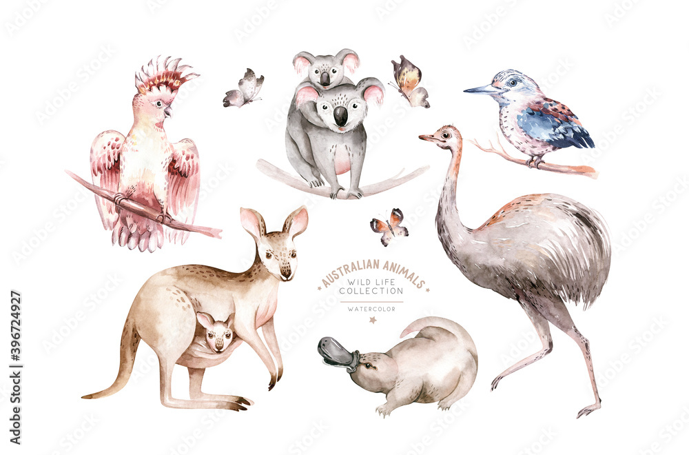Watercolor australian cartoon kangaroo, ostrich Emu , koala and flying ...