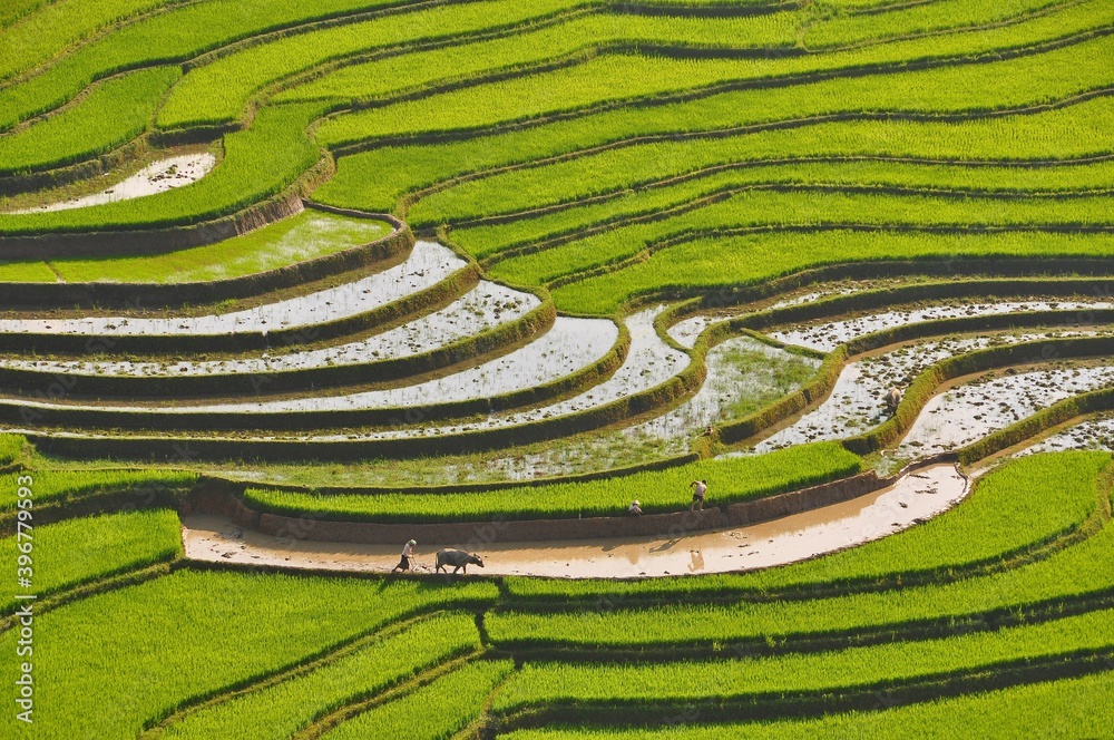 Terrace is a piece of sloped plane that has been cut into a series of ...