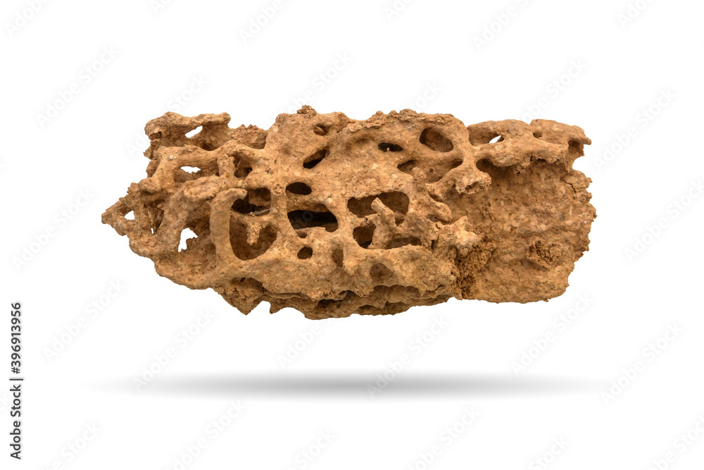 Walkway of Termite, Termite nest, home of Termite with shadow on white ...