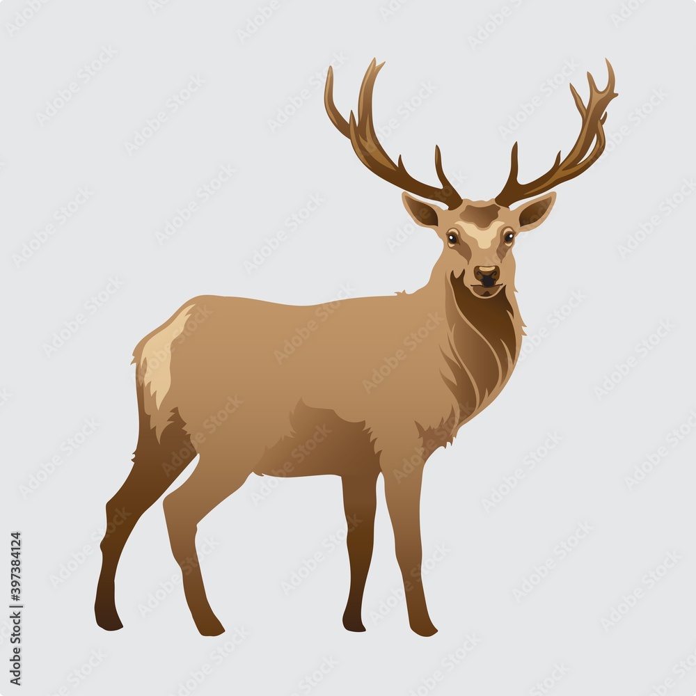 Reindeer Stock Illustration | Adobe Stock