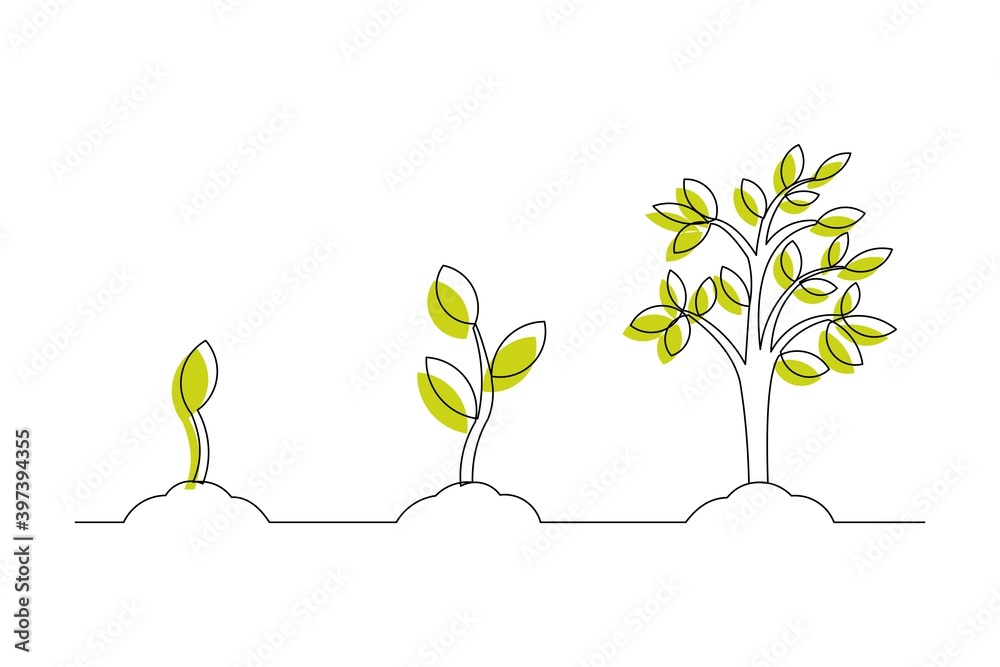Continuous line drawing of step of tree growth. Vector illustration ...