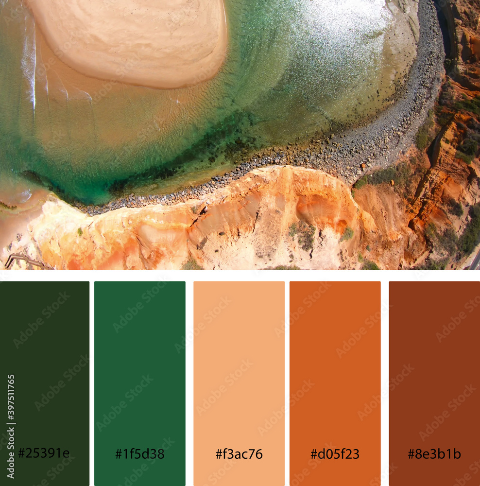 Designer Pack Color Palette inspired by nature. Aerial overhead of the ...