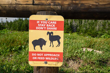Mountain Goat Warning Sign Free Stock Photo - Public Domain Pictures