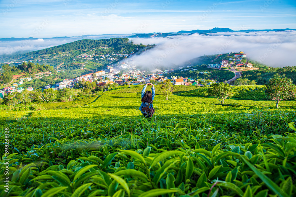 The morning at Cau Dat tea farm at Lam Dong province. This is one of ...