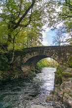 Lakeland Bridge Free Stock Photo - Public Domain Pictures