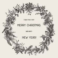 Christmas Robin Holly Branch Free Stock Photo - Public Domain Pictures