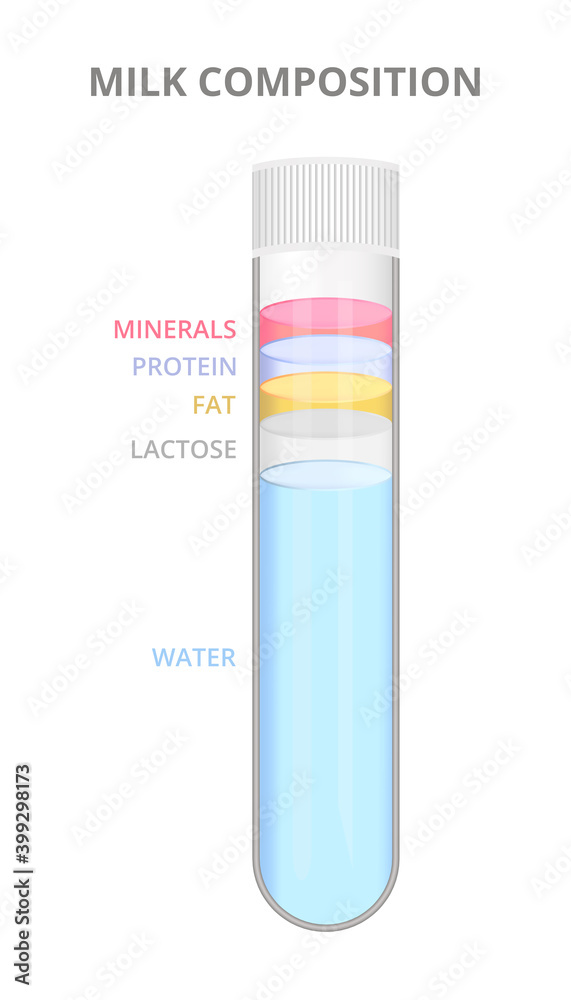Vector de Stock Milk composition, the composition of milk, milk ...